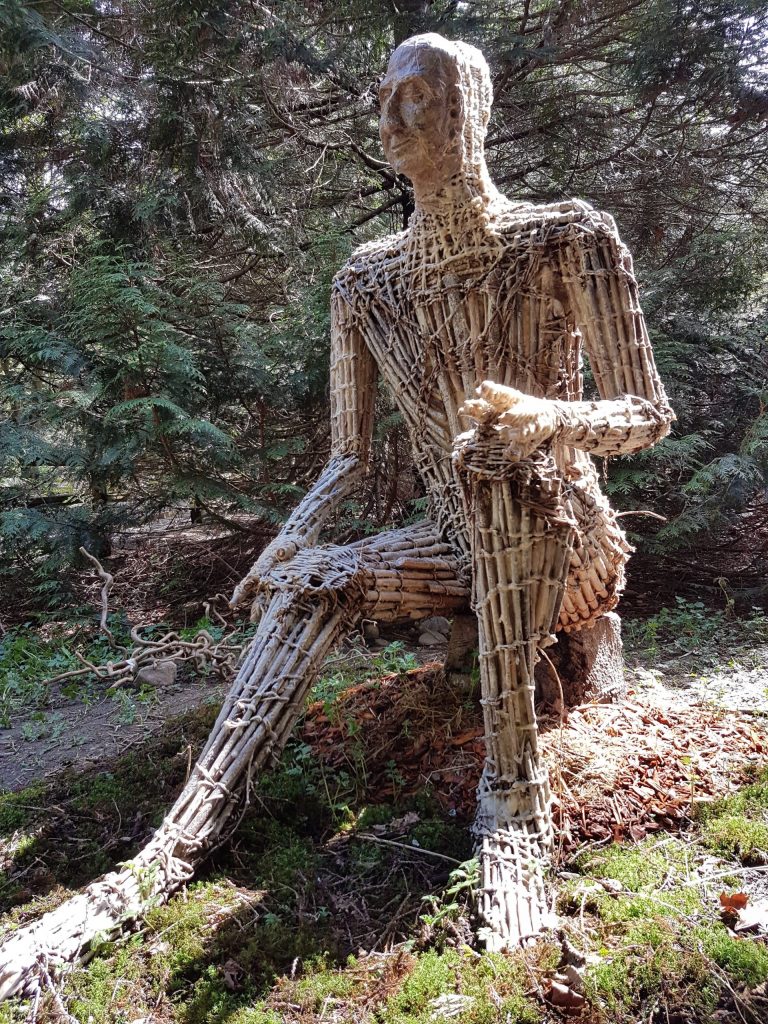 Mycelial Connections & Fruiting Bodies – The Art & Fungi Project