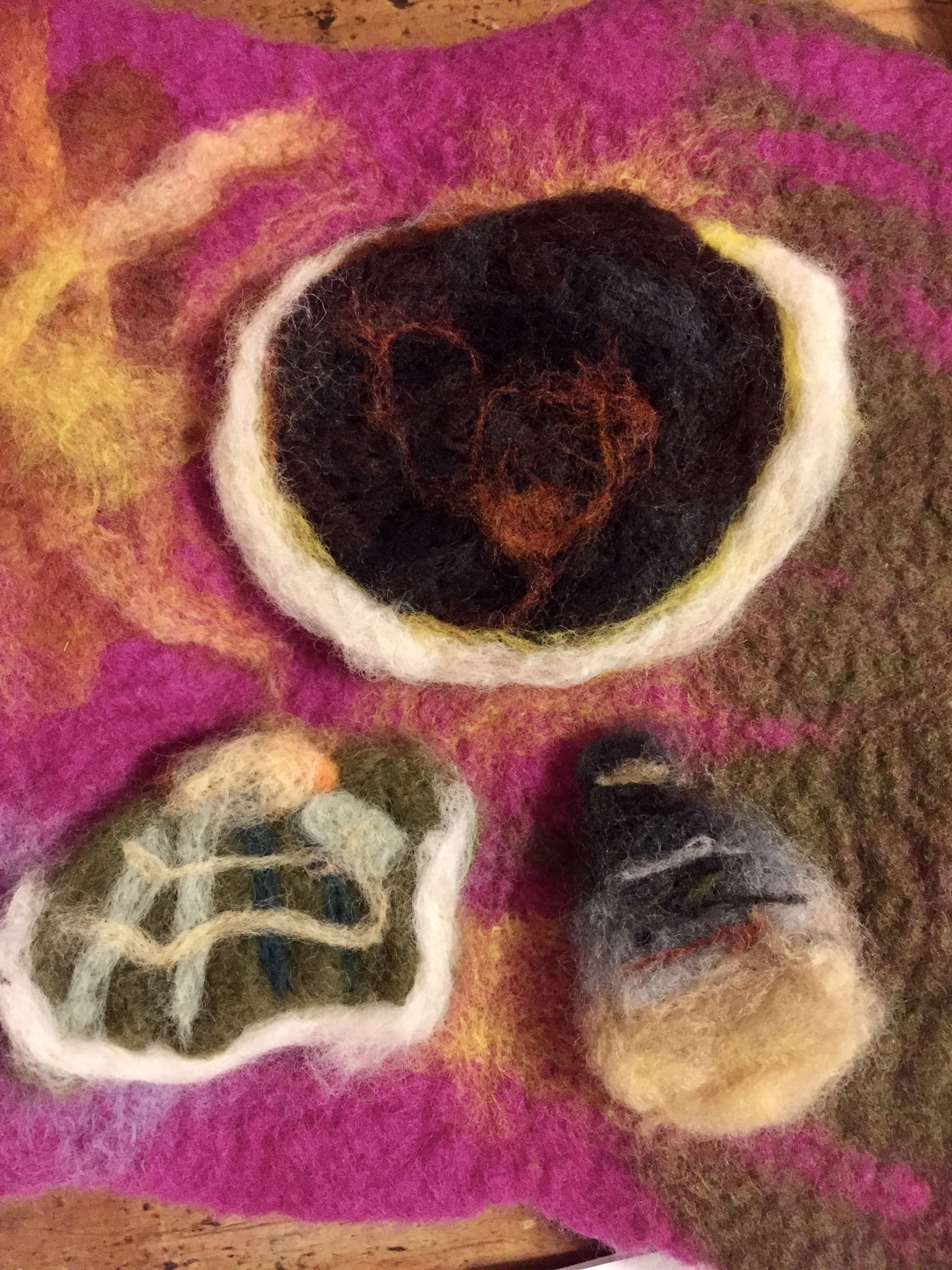 Felted Fungi Field Guides – The Art & Fungi Project