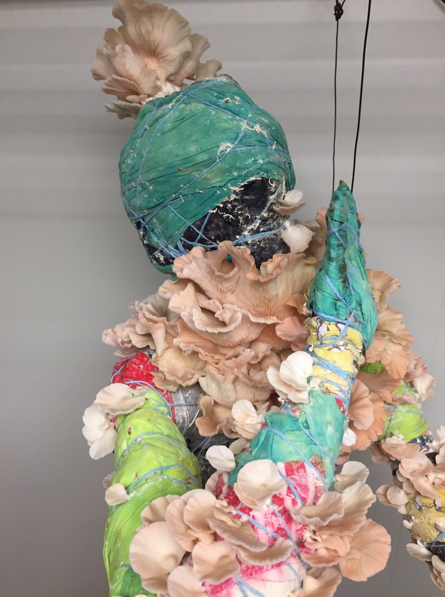 Renewing the Fungal Body – a comment on fast fashion – The Art & Fungi ...