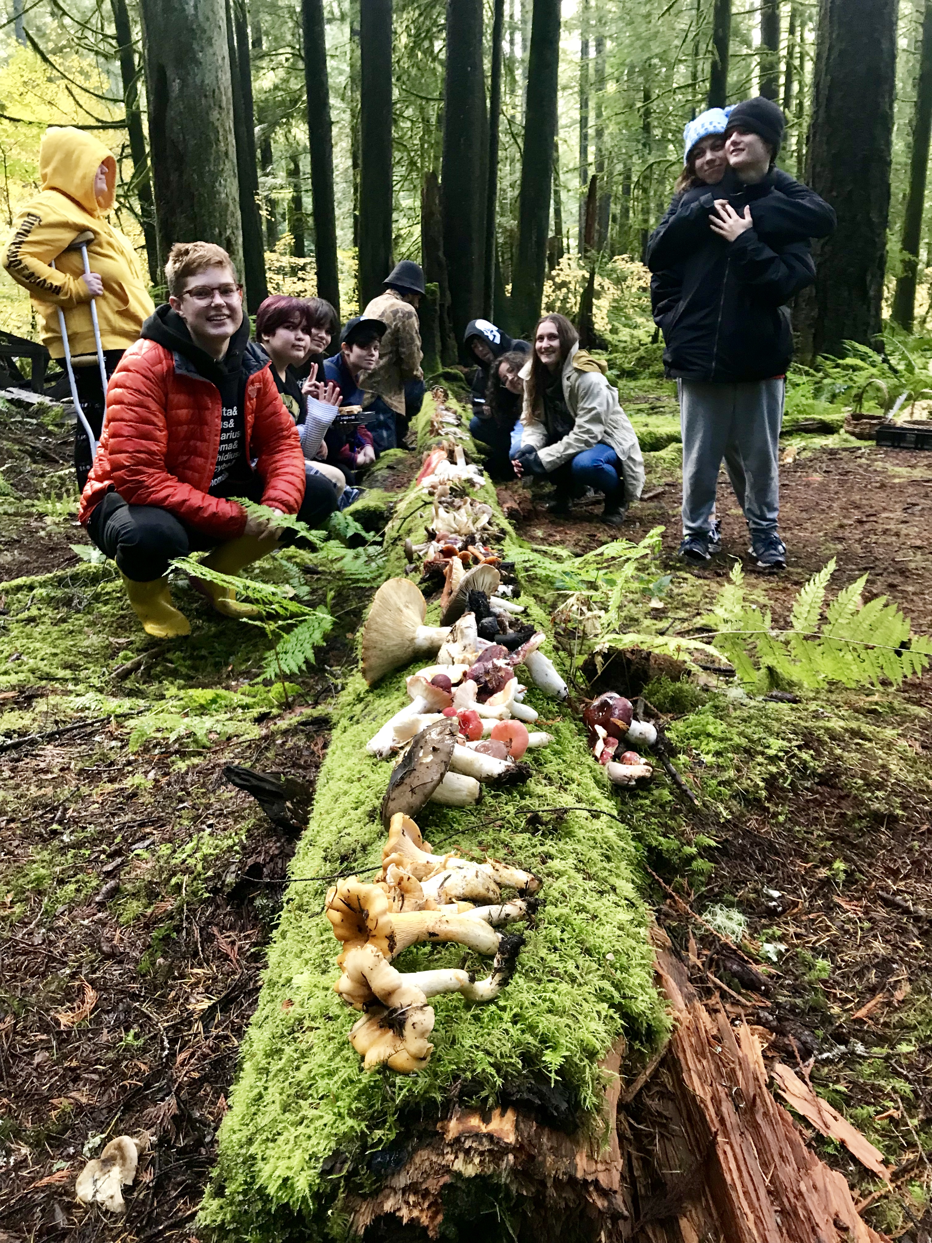 School Residencies – The Art & Fungi Project