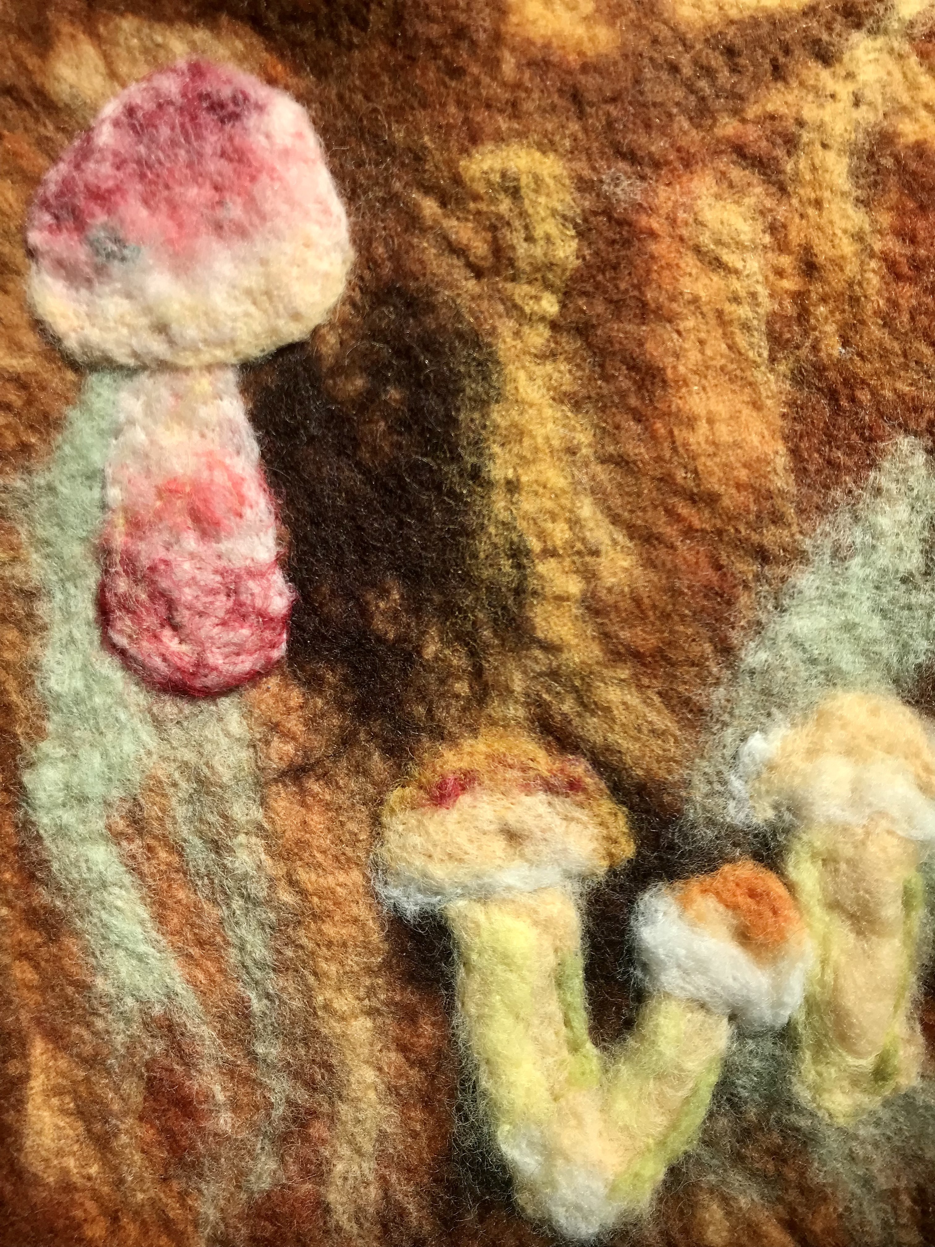 Felted Fungi Field Guides – The Art & Fungi Project