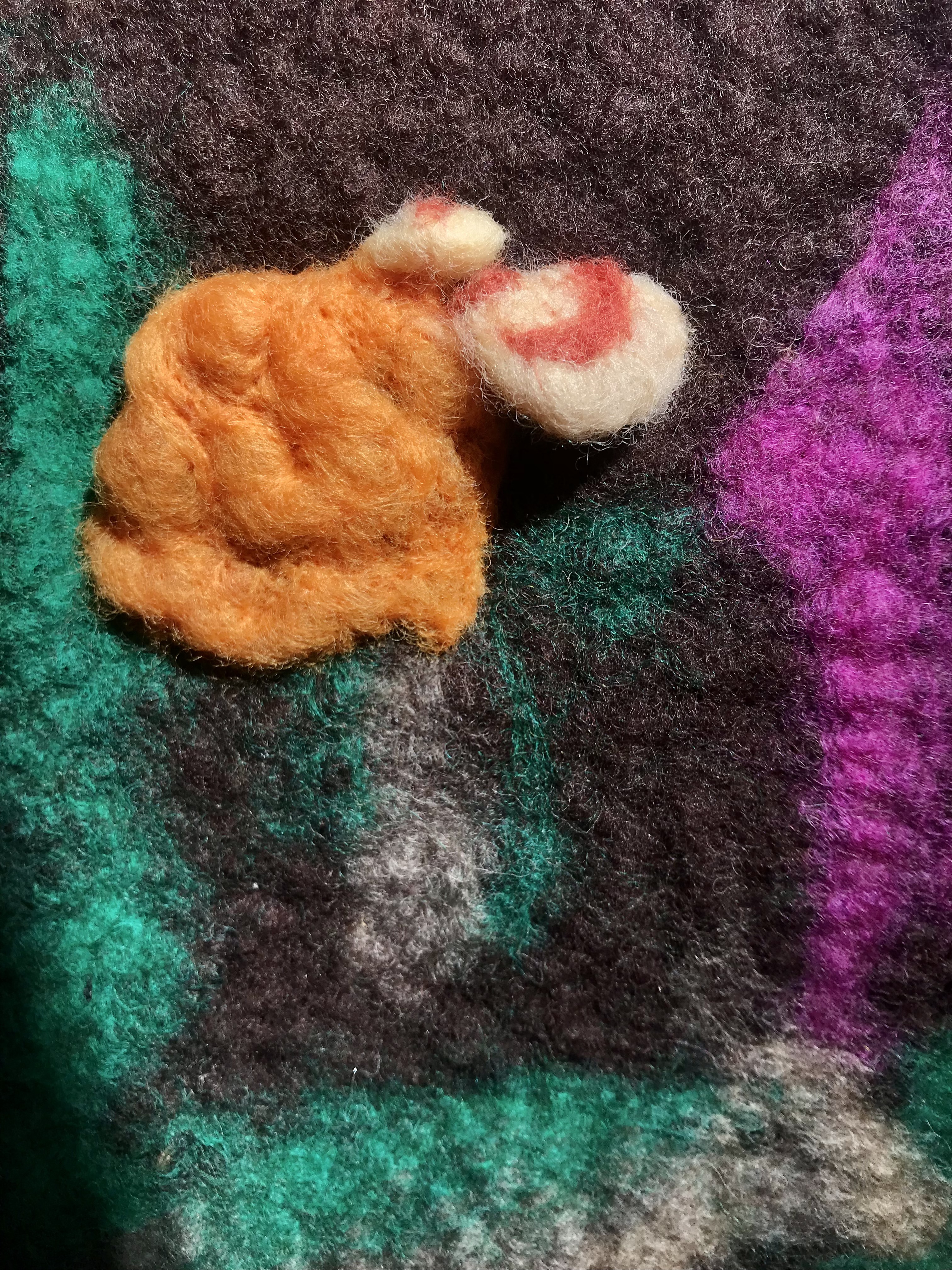 Felted Fungi Field Guides – The Art & Fungi Project
