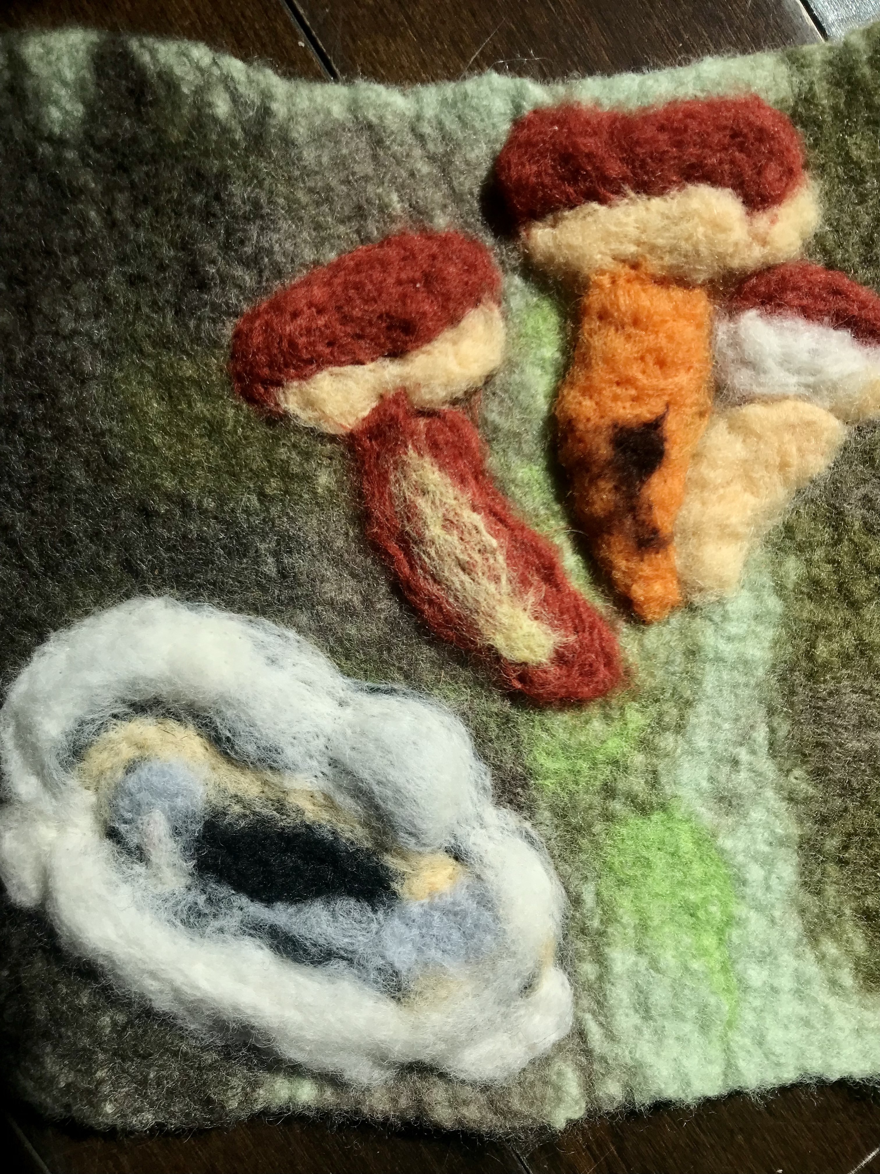 Felted Fungi Field Guides – The Art & Fungi Project