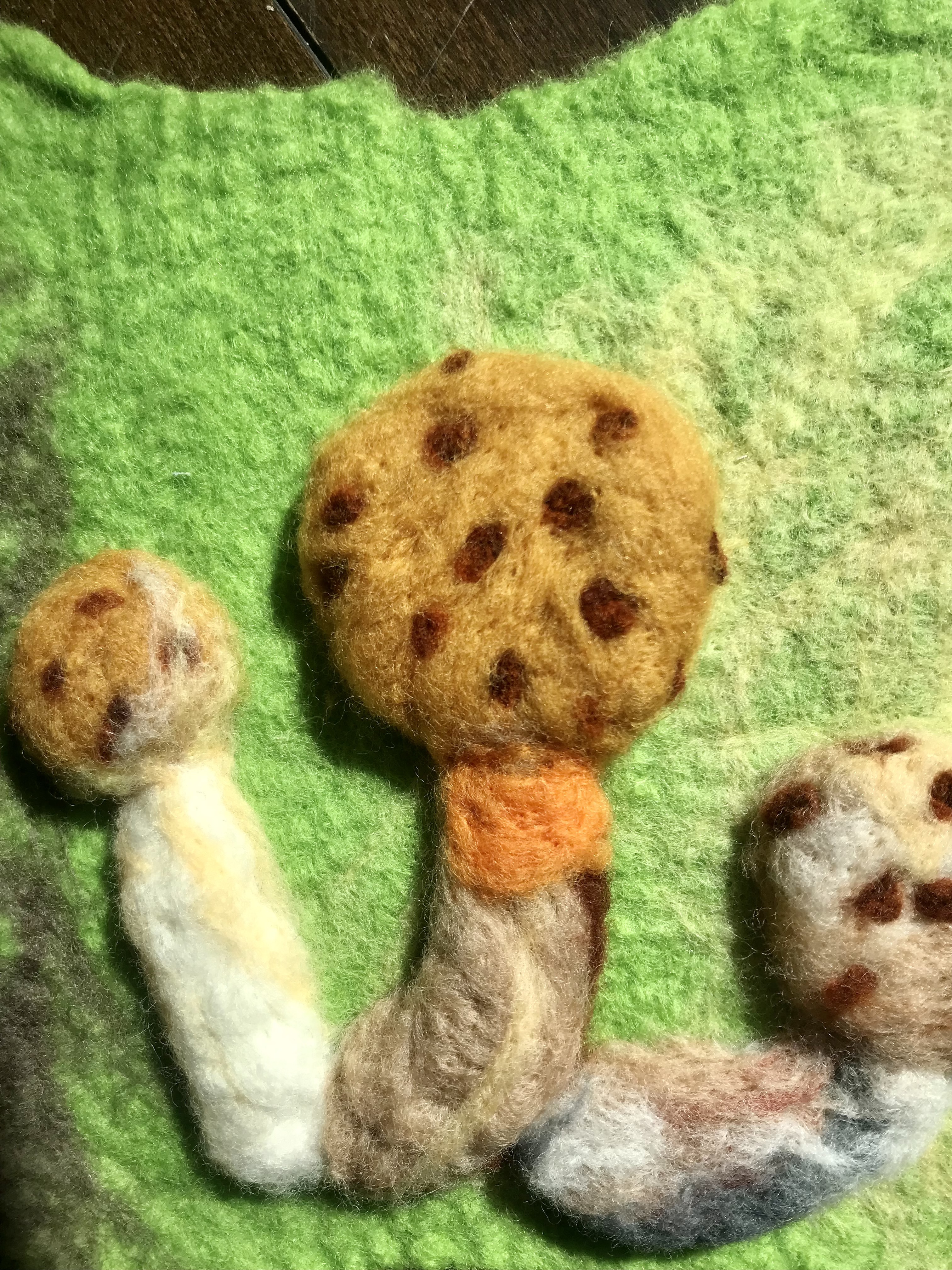 Felted Fungi Field Guides – The Art & Fungi Project