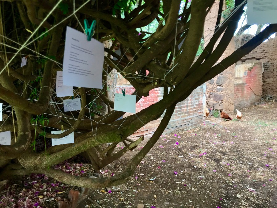 Mushroom Scores for Fake Naturalists – The Art & Fungi Project